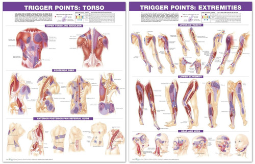 Trigger Point Chart Set: Torso & Extremities