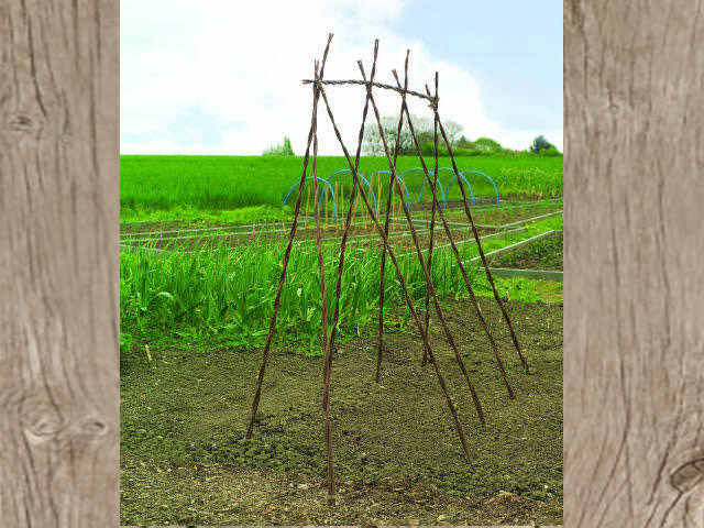 Pea and Bean Support Mesh - Support for Climbing Plants