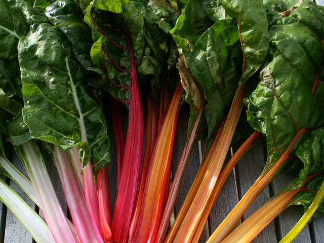 Chard Seeds - Grow Your Own Rainbow Chard