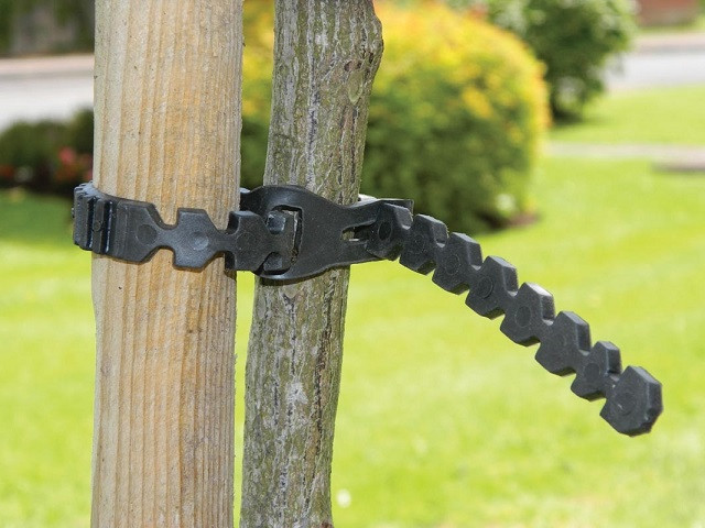 Black Tree Ties