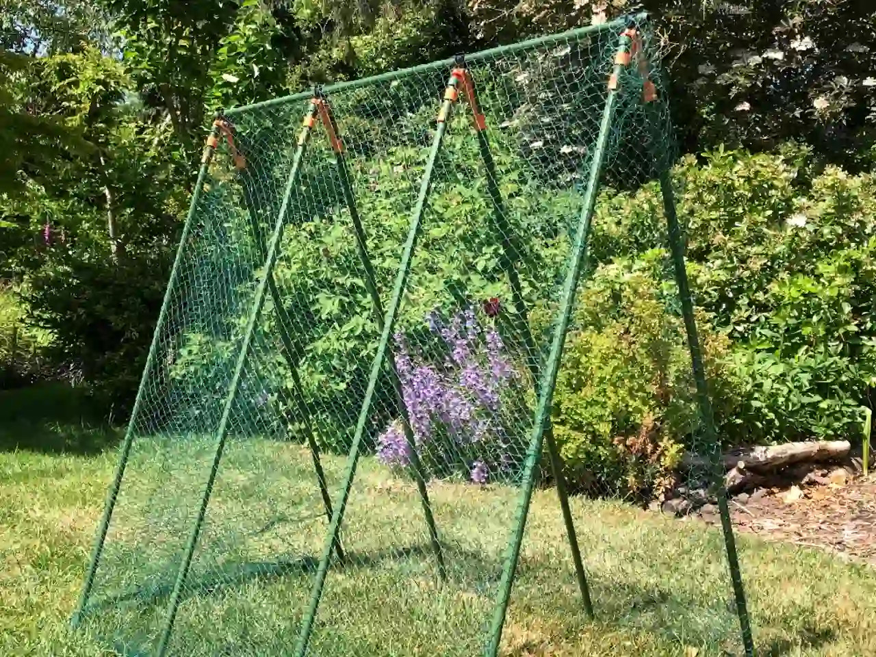 Pea and Bean Support Mesh - Support for Climbing Plants