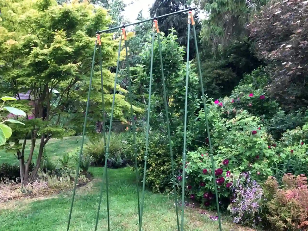 Pea and Bean Support Mesh - Support for Climbing Plants