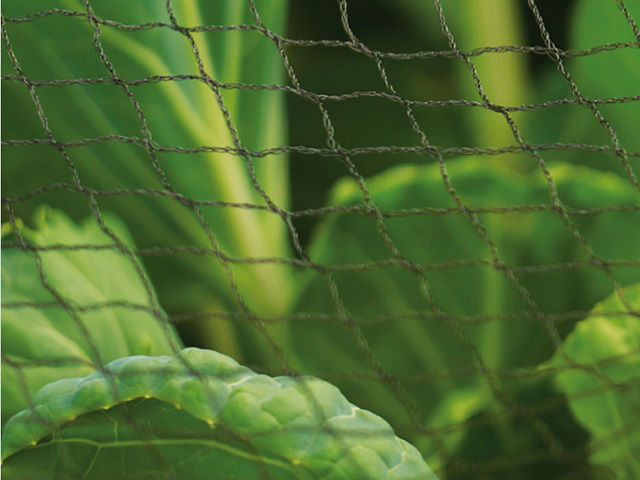 Windbreak & Garden Plant Protection Netting - 50m Rolls