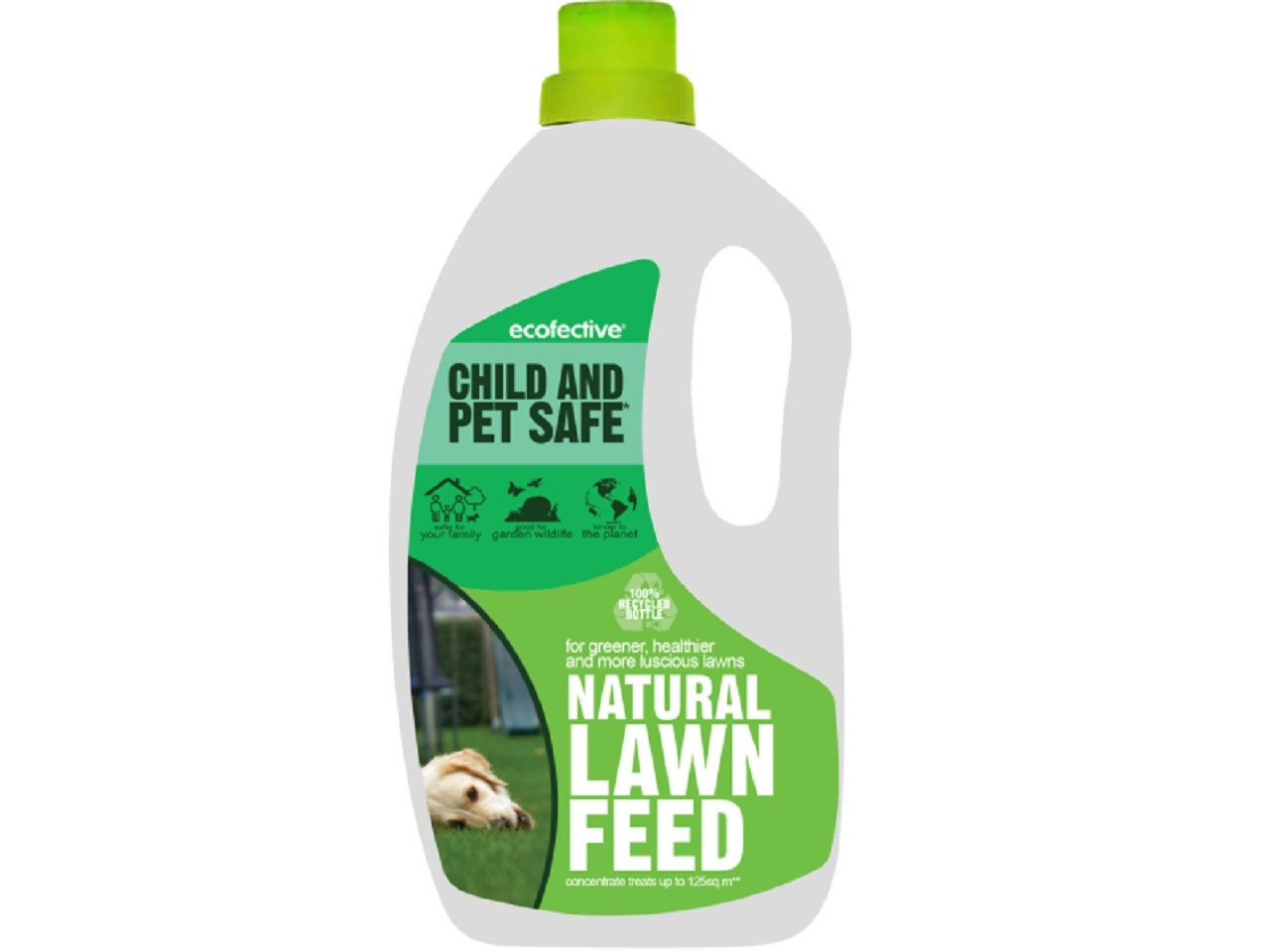 Lawn Care & Maintenance - Lawn Feed, Grass Seed, Weed Control & Tools