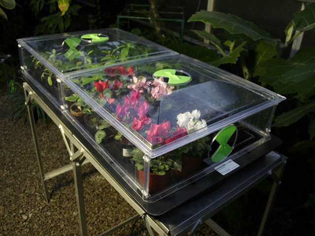 Vitopod Large Heated Electric Propagator For Seedlings