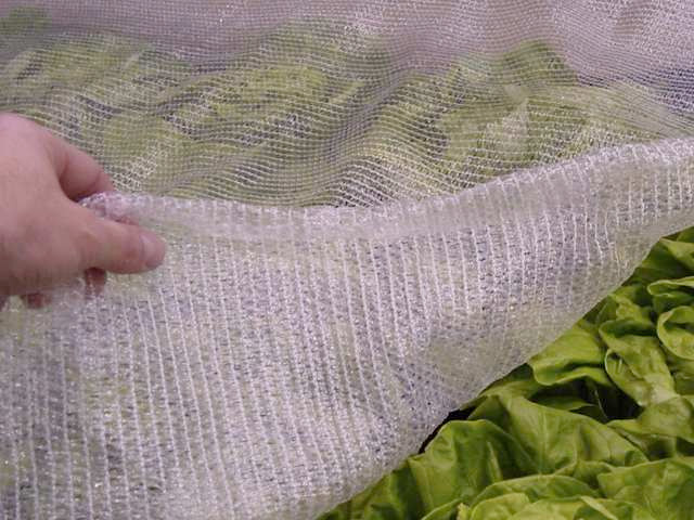 Mini Tunnel Enviromesh - Fine Mesh Plant Protection