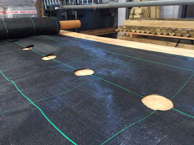 Gro Grid Bare Root Hedge Planting Mat - Single Row