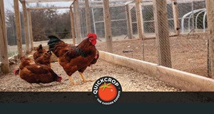 Gardening Blog - Quickcrop UK