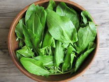 How To Grow Sorrel