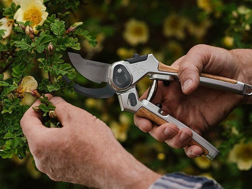 Eversharp Bypass Pruning & Deadheading Tool