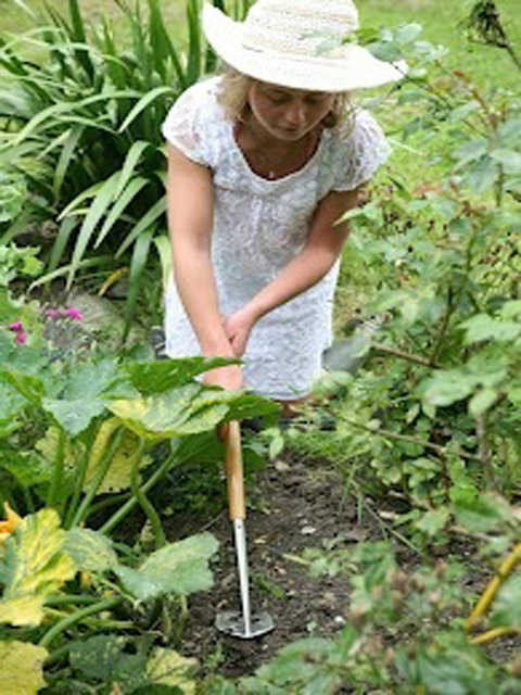 Precision Speed Hoe With Long Or Short Handle - Quality Garden Tools