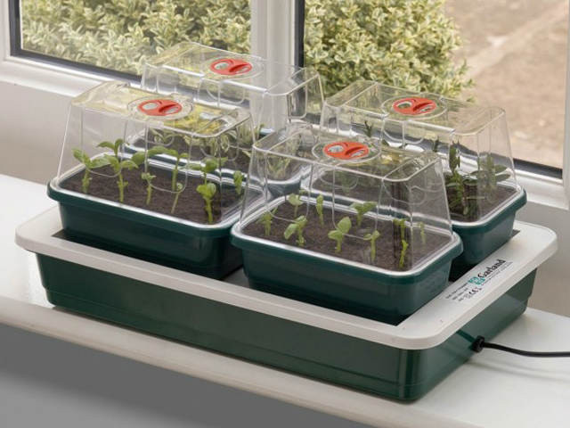 Propagators For Propagating Vegetable Seeds