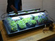 Vitopod Large Heated Electric Propagator For Seedlings