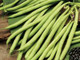 How To Grow Climbing French Beans