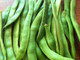 How To Grow Runner Beans