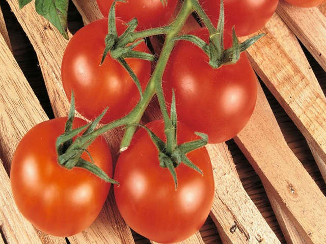 Tomato Marmande - 50 seeds per pack