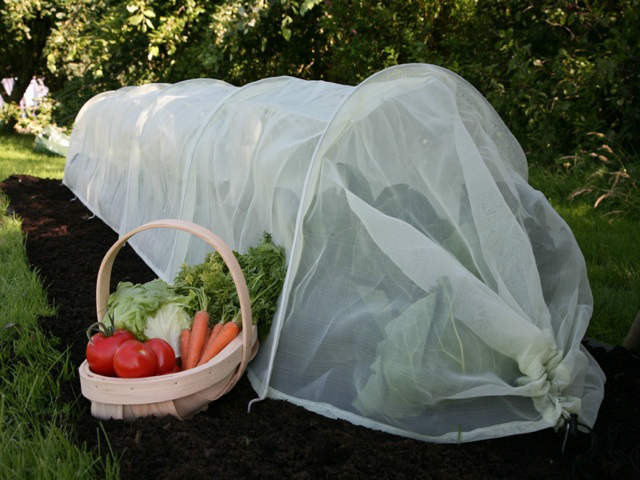 Micromesh Pest & Wind Barrier - Plant Protection