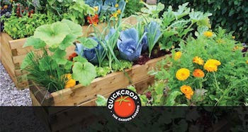 Gardening Blog - Quickcrop UK