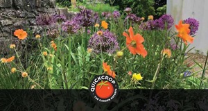 A Guide to Perennial Flowers