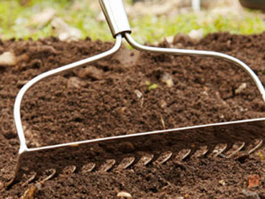 Burgon & Ball RHS Endorsed Stainless Steel Garden Rake