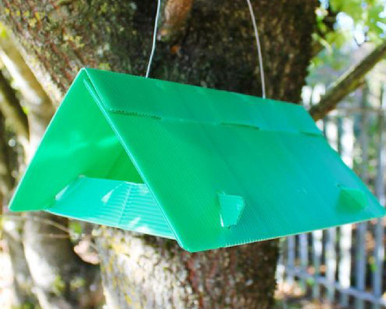 Gardening Naturally Codling Moth Trap