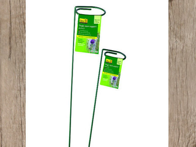 Single Stem Plant Support Rods - Pack Of 3