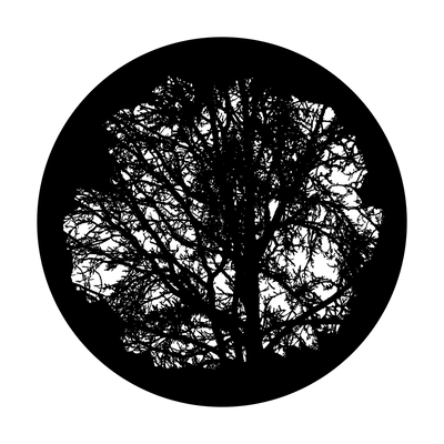 Apollo Developed Tree - BW-1216 - Production Advantage