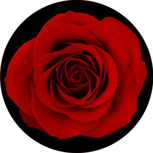 Rosco Red Rose Glass 2 Color Gobo # 84430