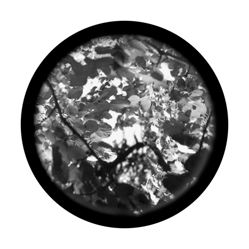 Apollo Leaves 1 - SR-1001 - Production Advantage