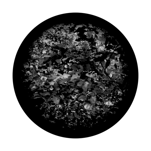 Apollo Leaves 2 - SR-1002 - Production Advantage