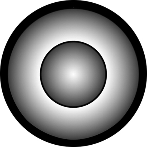 Rosco Cone Tone Black and White Glass Gobo # 81119