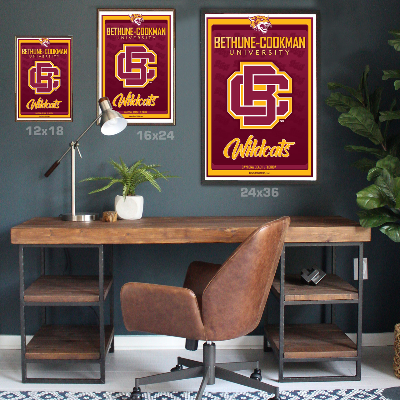 Bethune Cookman University