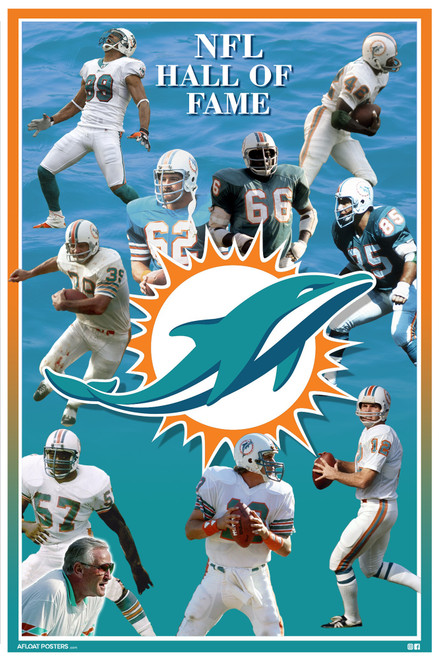 Miami Dolphins Super Bowl Poster