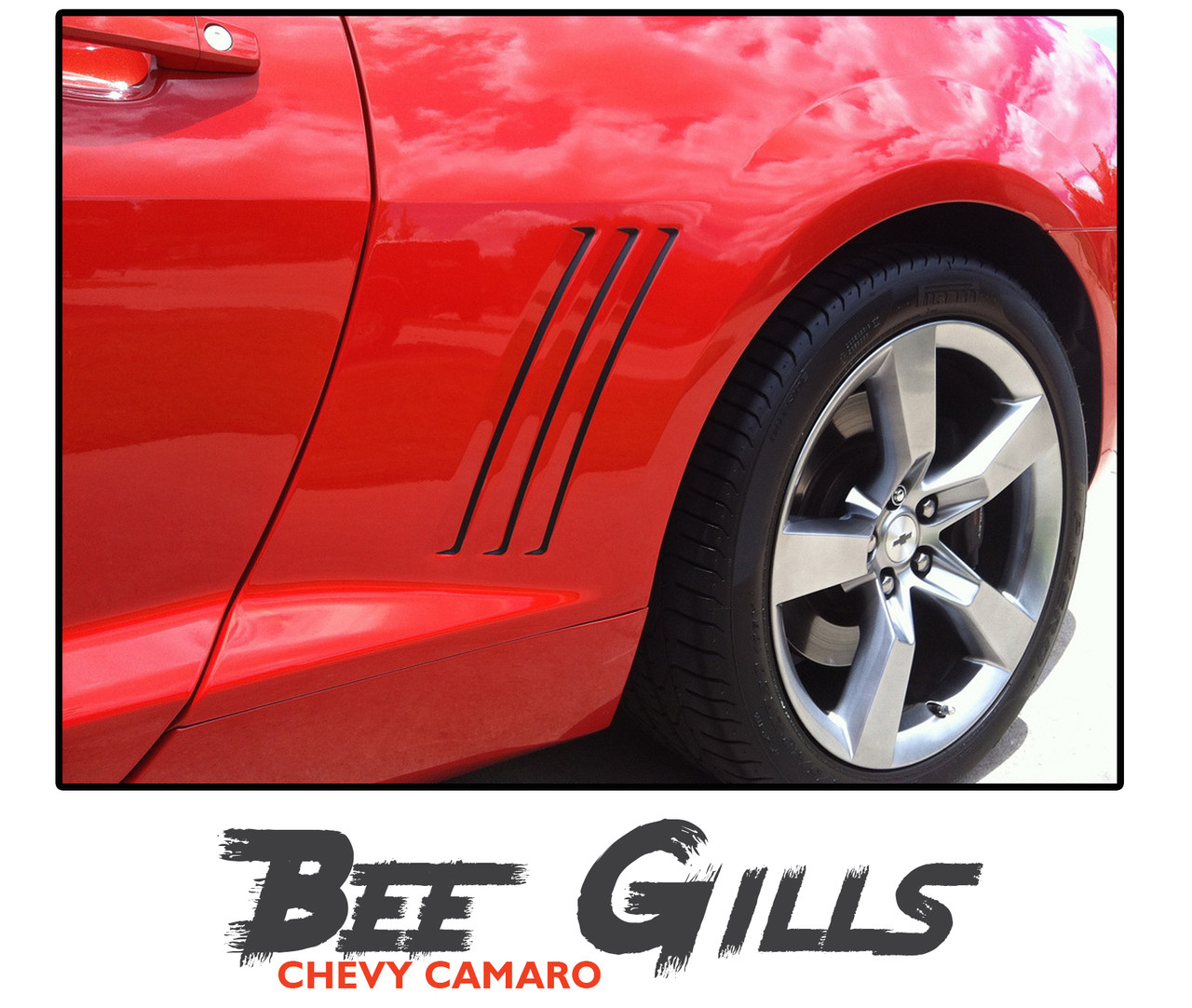 GILL STRIPES, Camaro Stripes, Camaro Decals, Camaro Vinyl Graphics