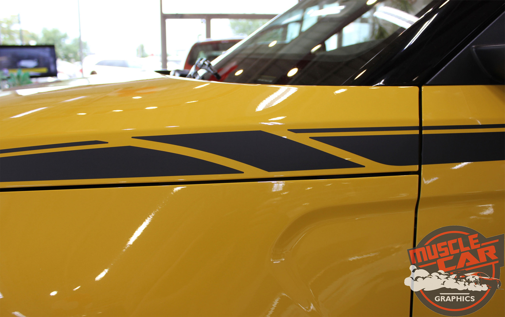 Kia Soul Side Hood and Hatchback Graphics SOULCAT 2010-2018
