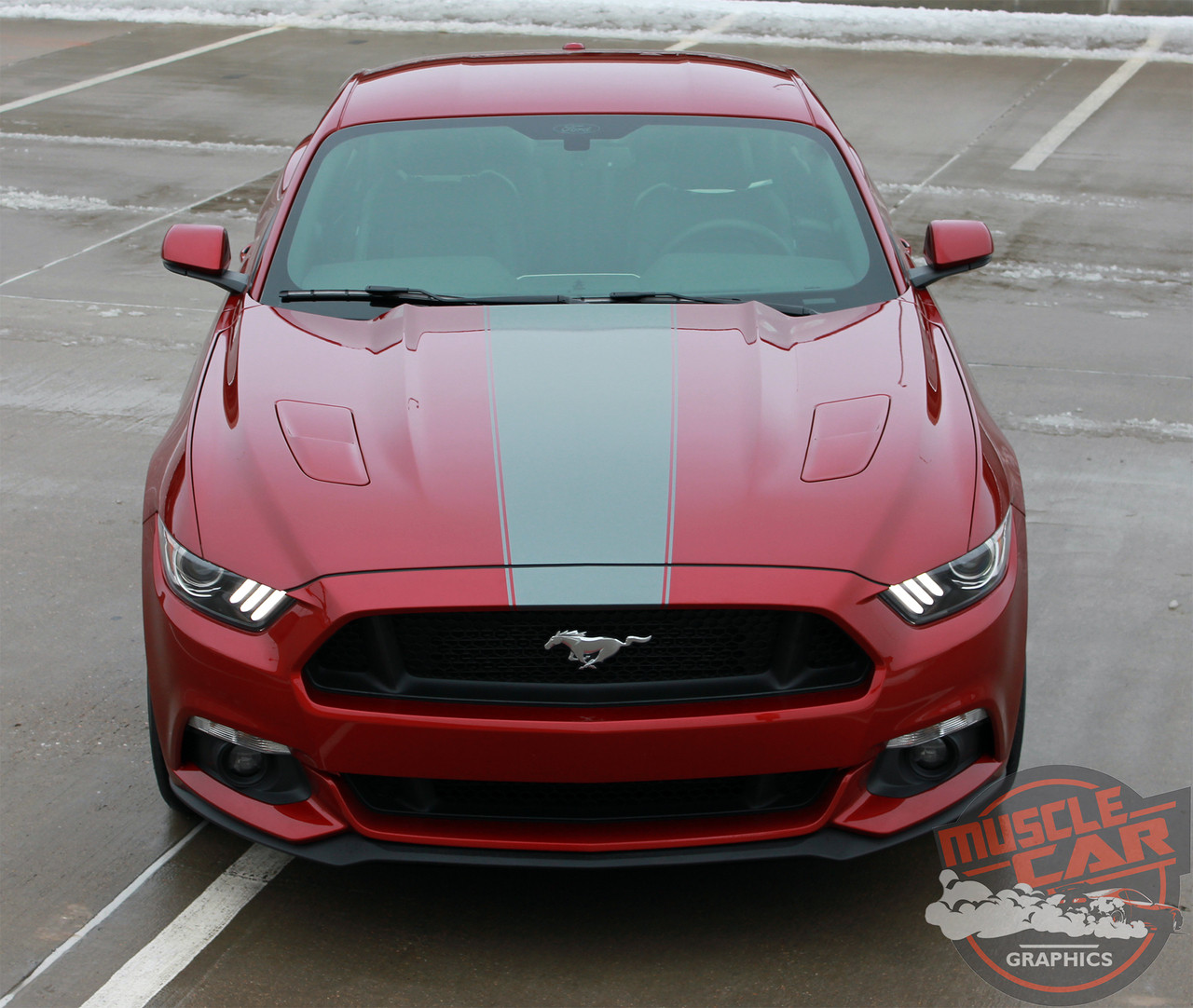 Large Side Horse Stripe for Ford Mustang STEED 2015 2016 2017 | MCG