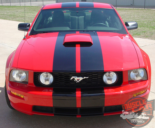 WILDSTANG 05, Ford Mustang Stripes, Mustang Decals, Mustang Vinyl Graphics