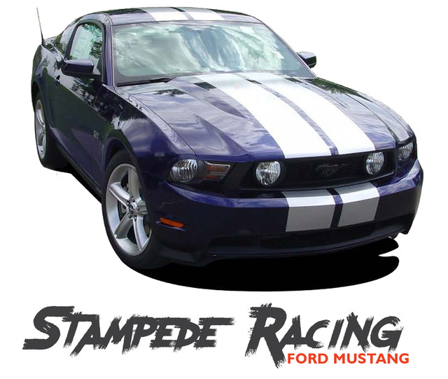 WILDSTANG 10, Ford Mustang Racing Stripes, Mustang Decals, Mustang ...