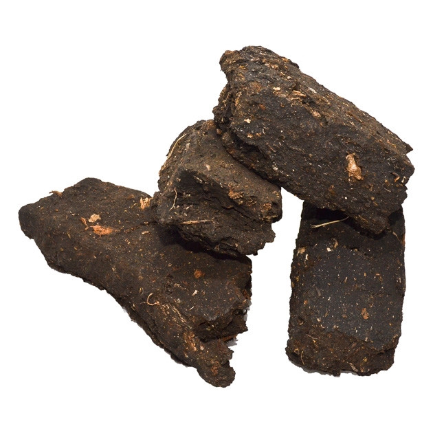 Peat Bricks - 5lbs - GLASS BOX TROPICALS