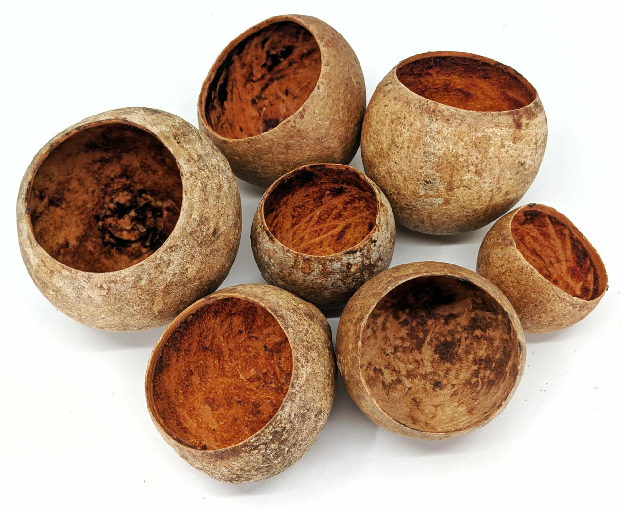 Beal Pod