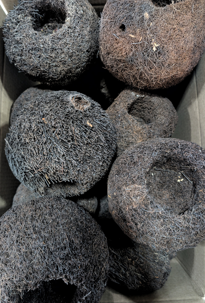 8" Tree Fern Fiber Ball Pot