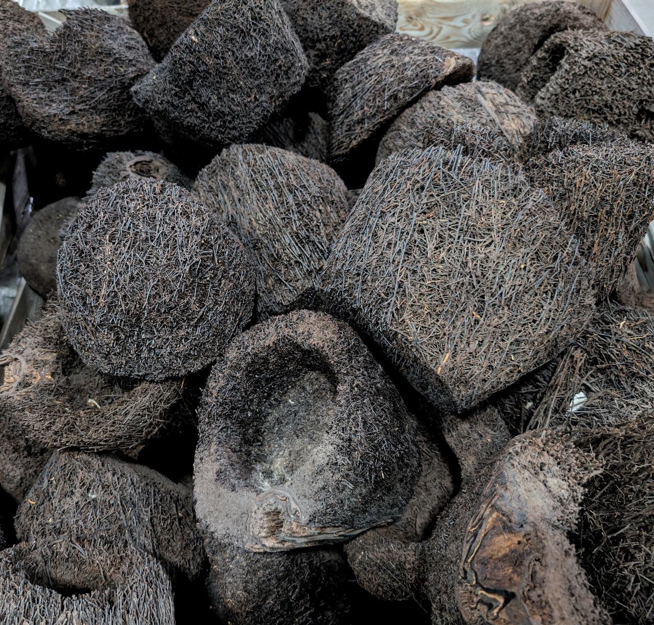 8" Tree Fern Fiber Ball Pot