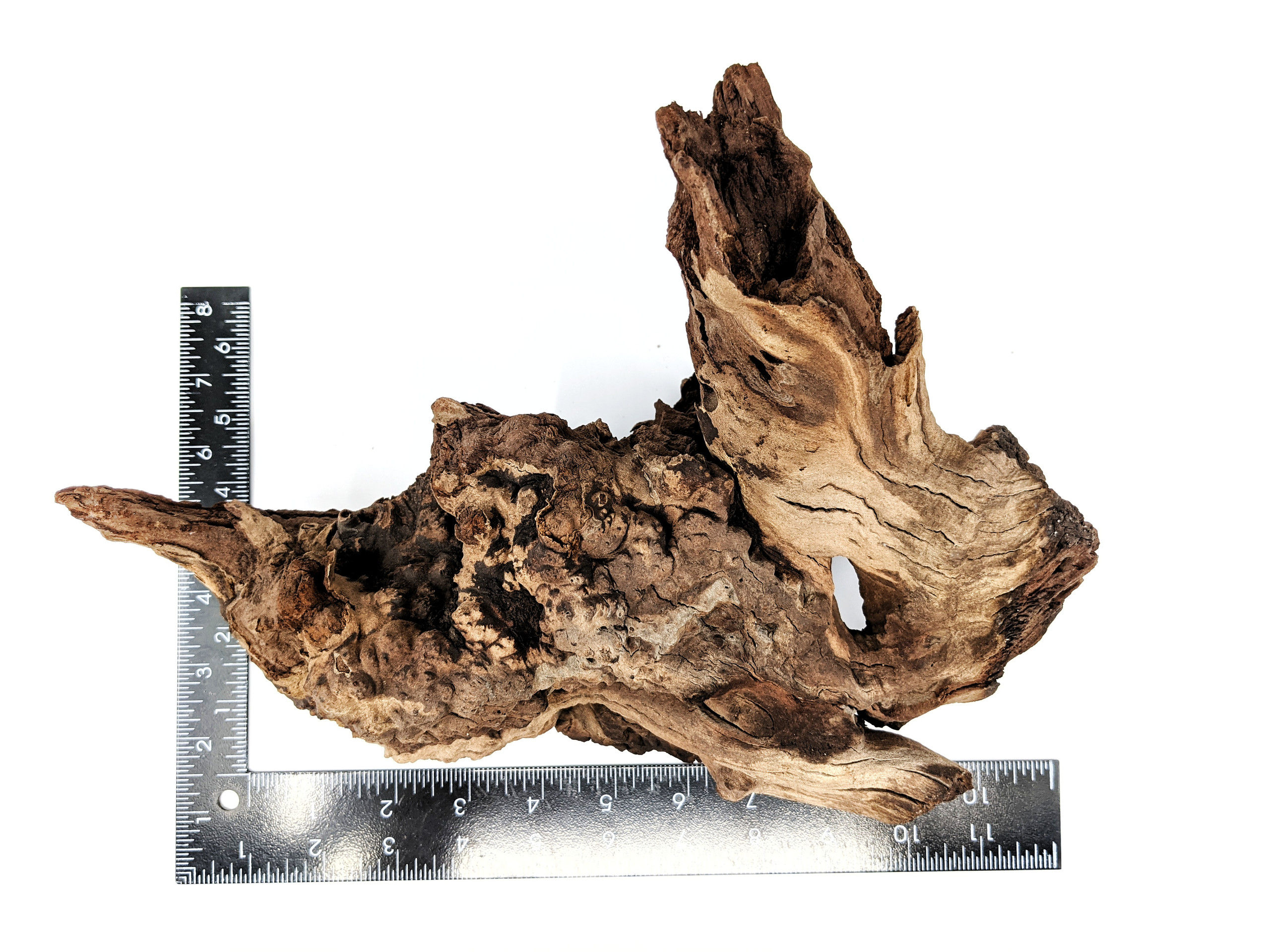 Medium Ghostwood Root Burl