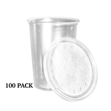 100 - 32 ounce Cups and Lids - GLASS BOX TROPICALS