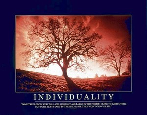 Individuality Poster Art … The Equalizer, An Exhibit About