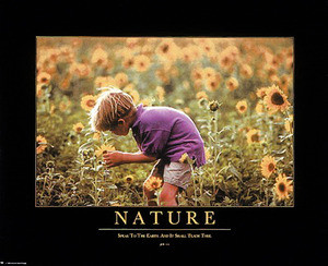Nature Art Poster - Artisan Art & Gifts
