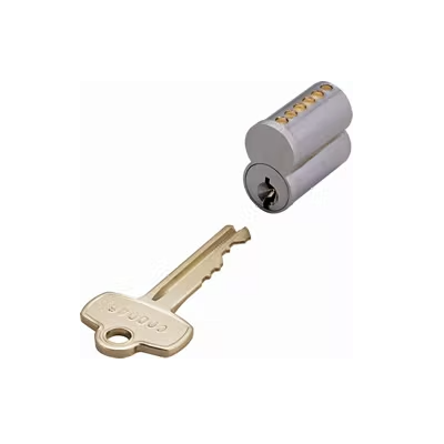 300600C 6-Pin Small Format Interchangeable Core (SFIC) & Key - Delaney ...