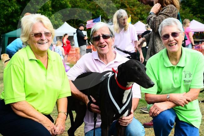 39583924-St Giles Animal Centre Annual Family Fun Dog Show at Hatch ...
