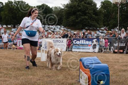 39526411-Hundreds of dog owners and their pooches visited Helmingham ...