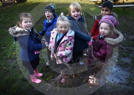 38383483-Pupils at Hoyle Court Primary School plant trees to mark tree ...